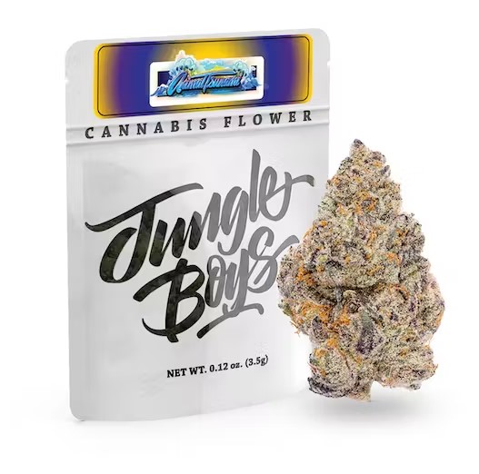 Jungle Boys | Animal Tsunami - 3.5g Flower - Psilocybe Cubensis