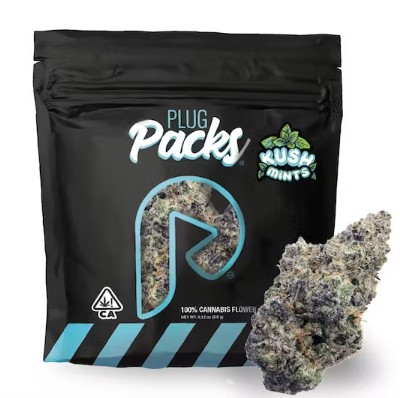 PLUGpacks: Kush Mints - Psilocybe Cubensis