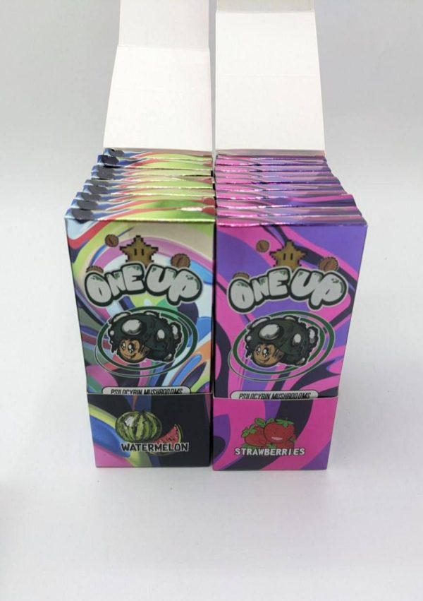 One Up Mushroom Bars - Psilocybe Cubensis